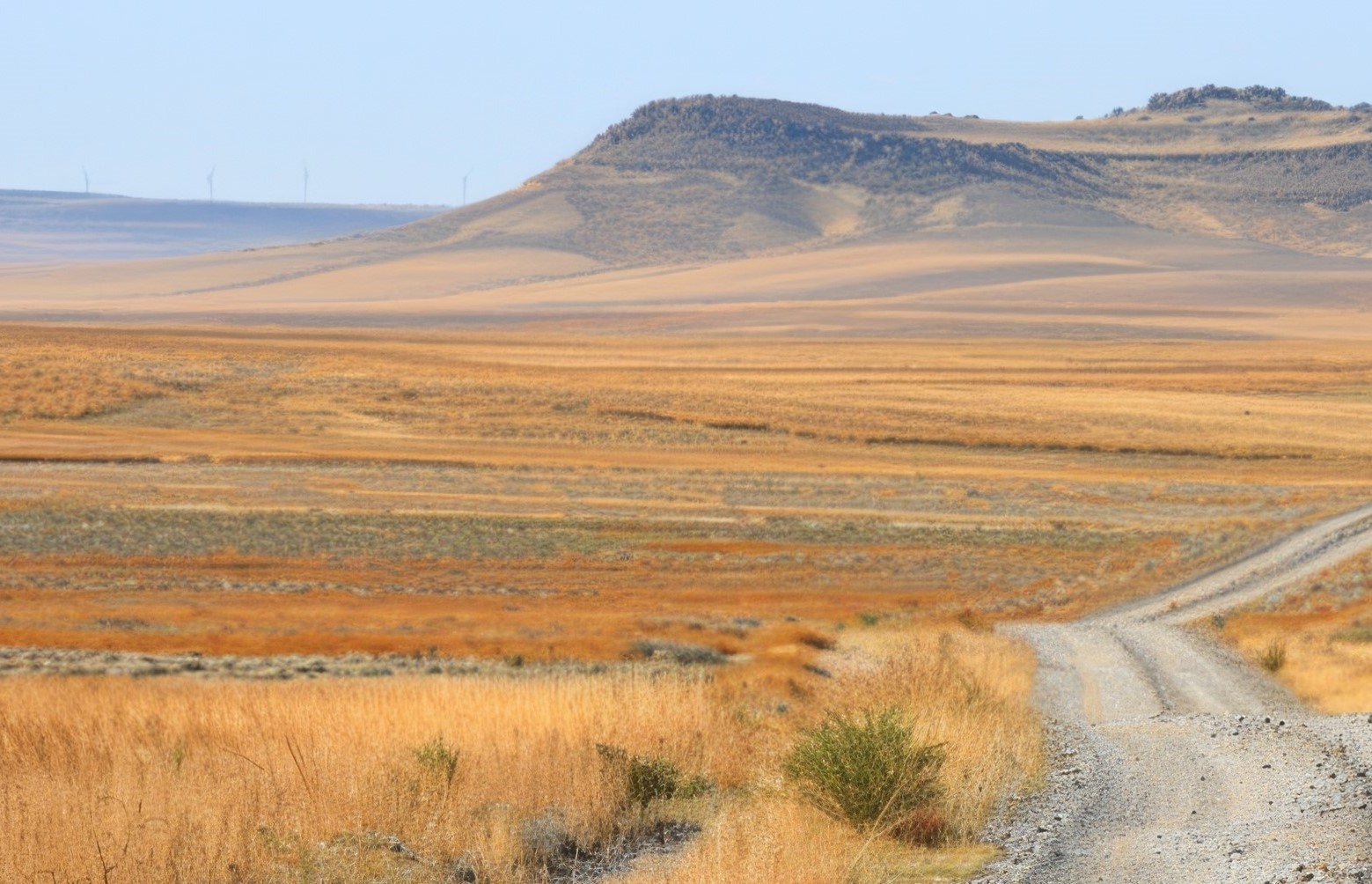 Projects - Salika Group